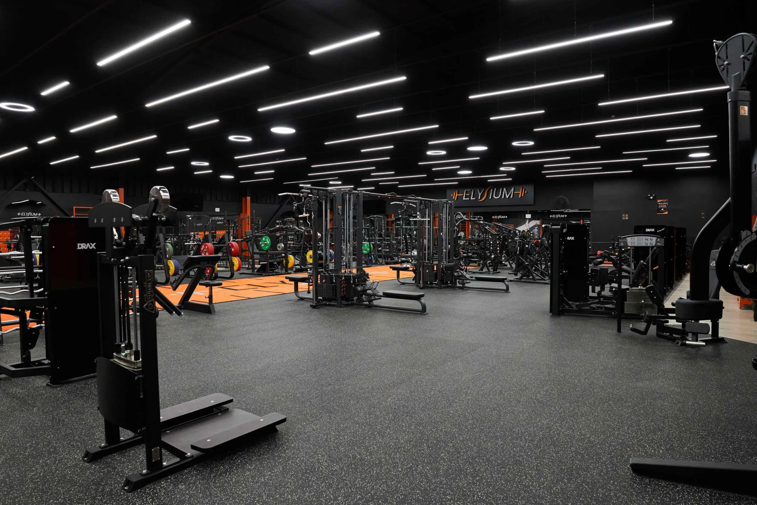 Elysium Arena: El Carmen | Elysium.cl