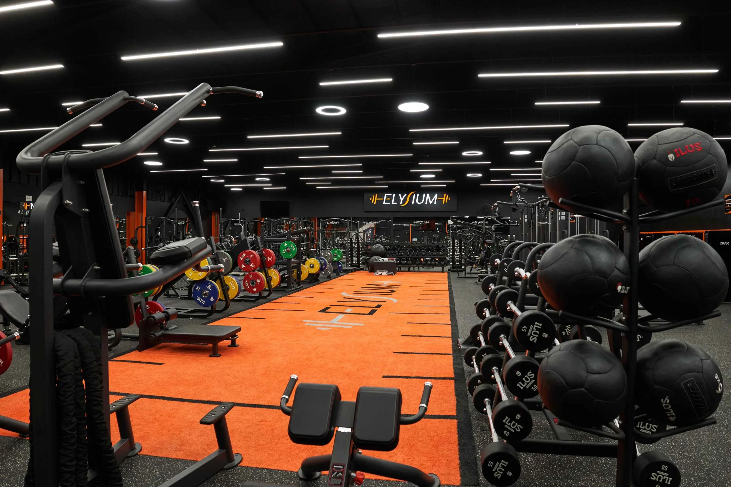 Elysium Arena: El Carmen | Elysium.cl