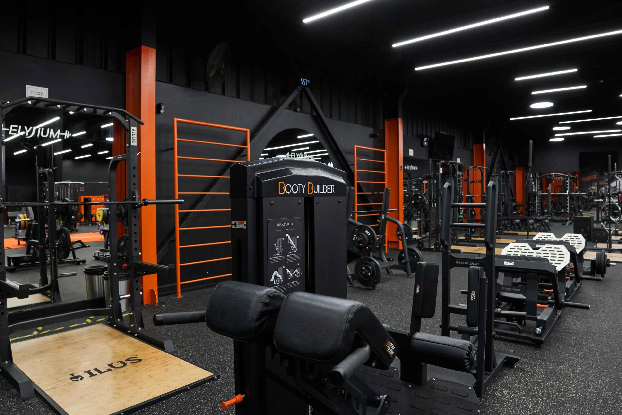 Elysium Arena: El Carmen | Elysium.cl