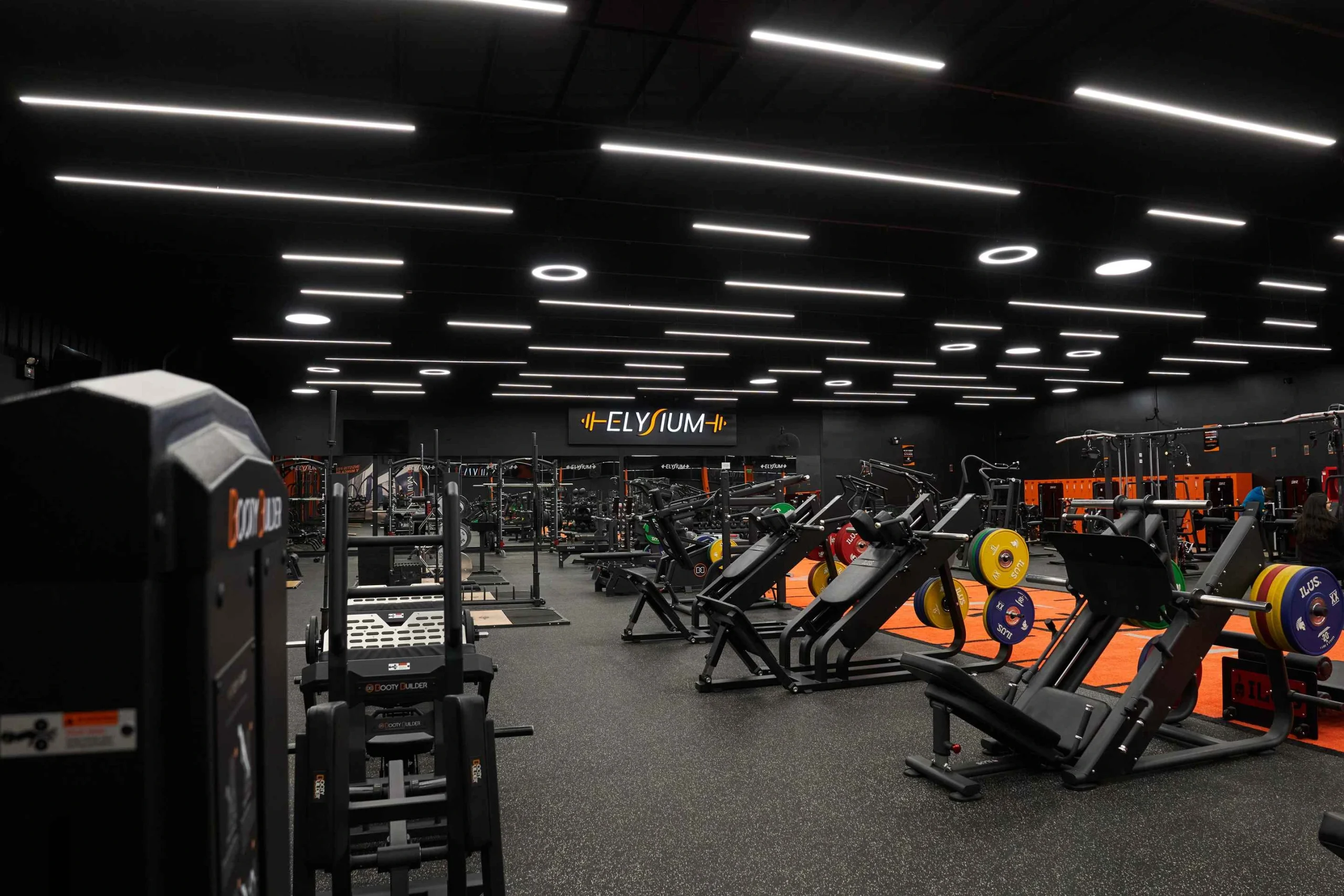 Elysium Arena: El Carmen | Elysium.cl