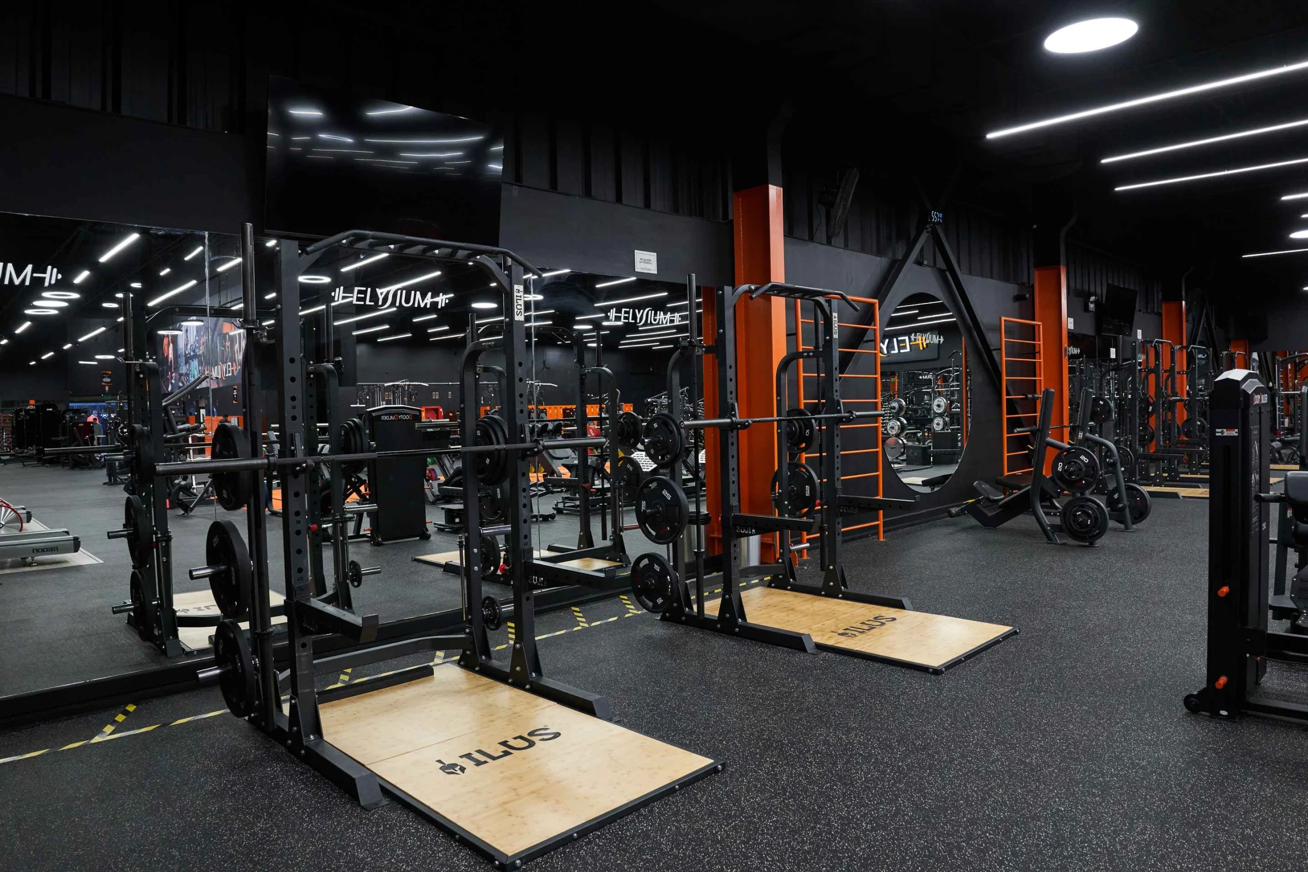 Elysium Arena: El Carmen | Elysium.cl