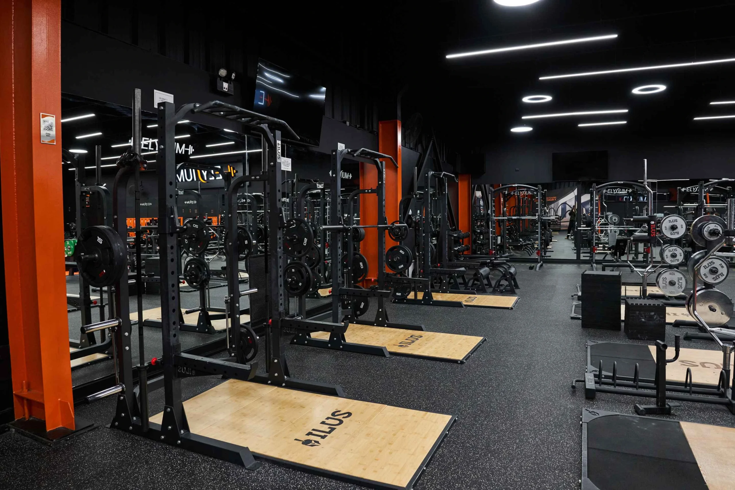 Elysium Arena: El Carmen | Elysium.cl