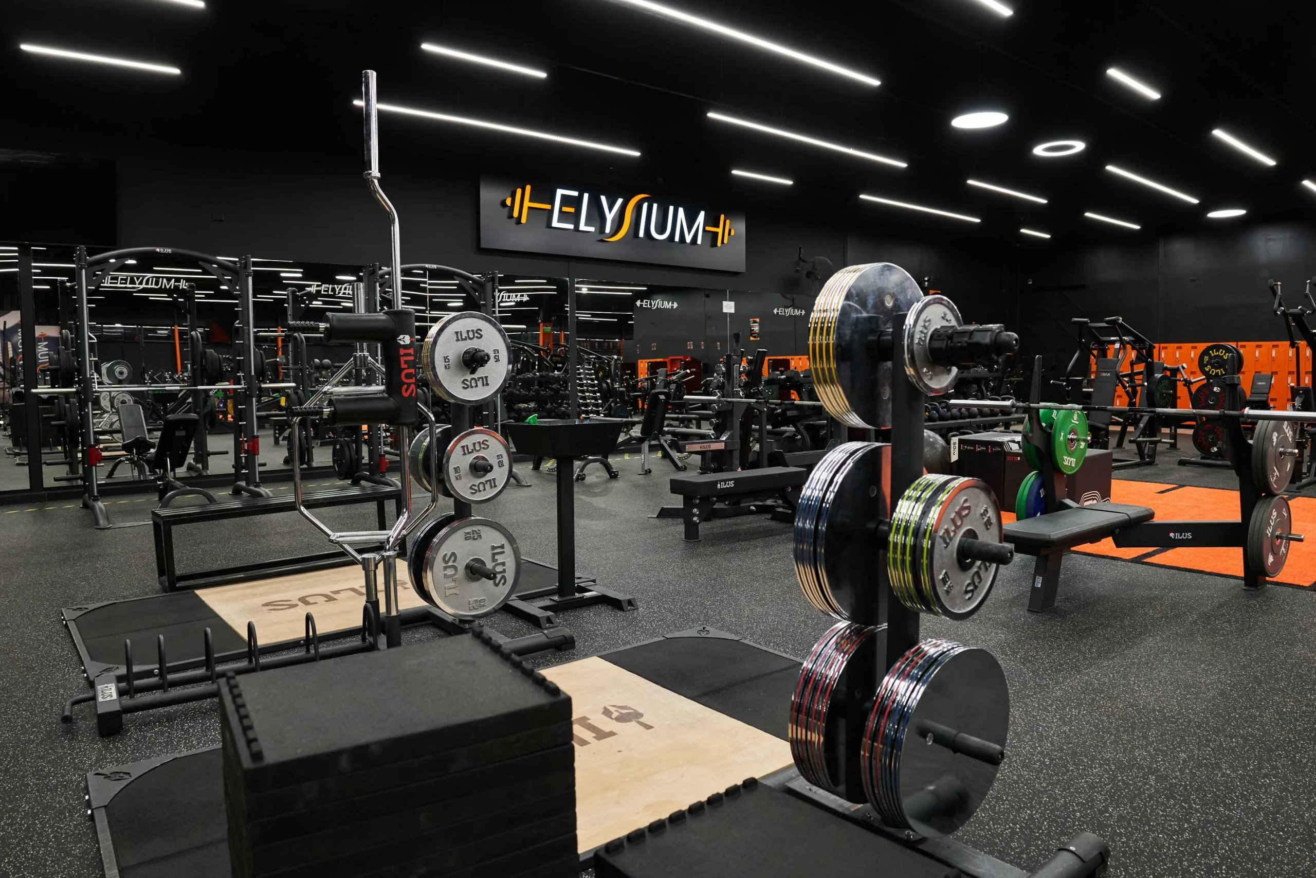 Elysium Arena: El Carmen | Elysium.cl