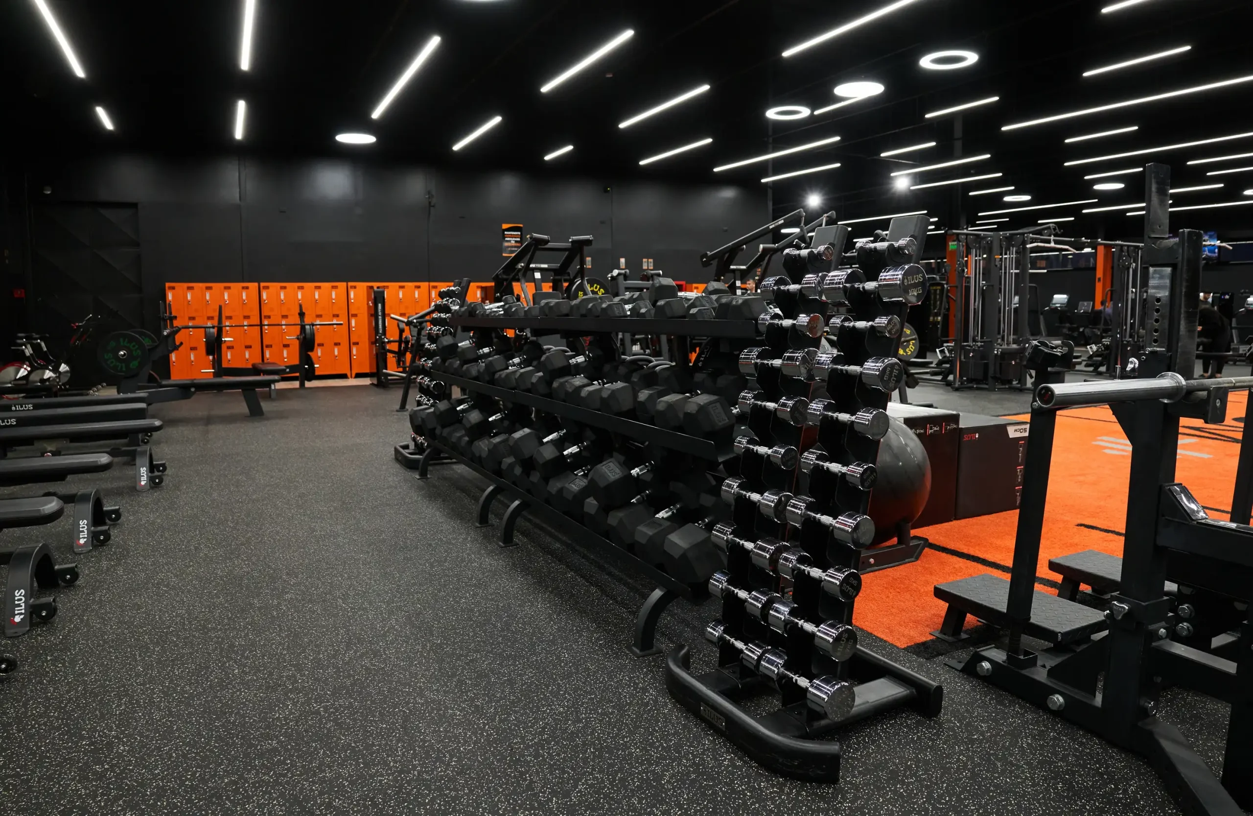 Elysium Arena: El Carmen | Elysium.cl