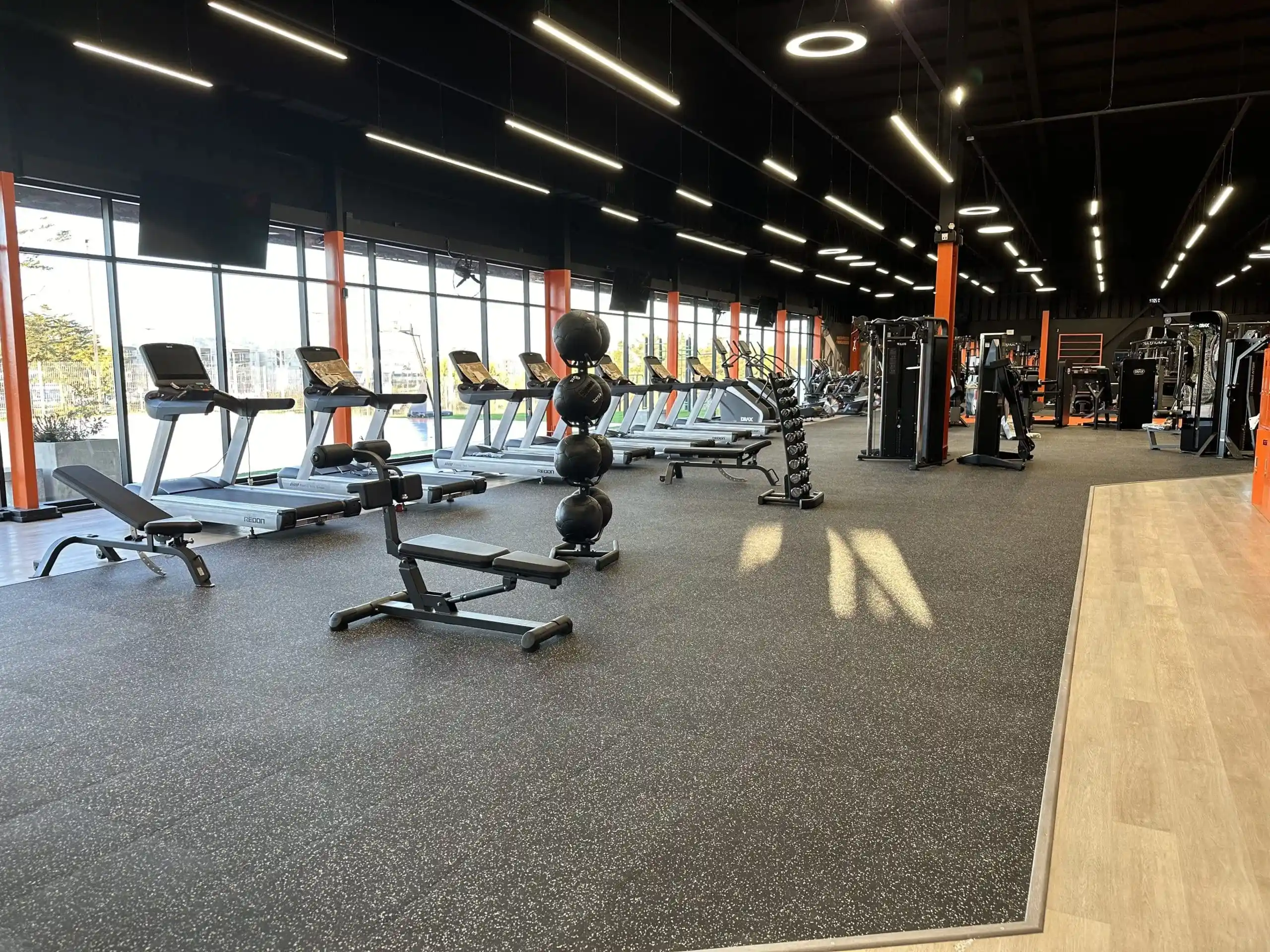 Elysium Arena: El Carmen | Elysium.cl