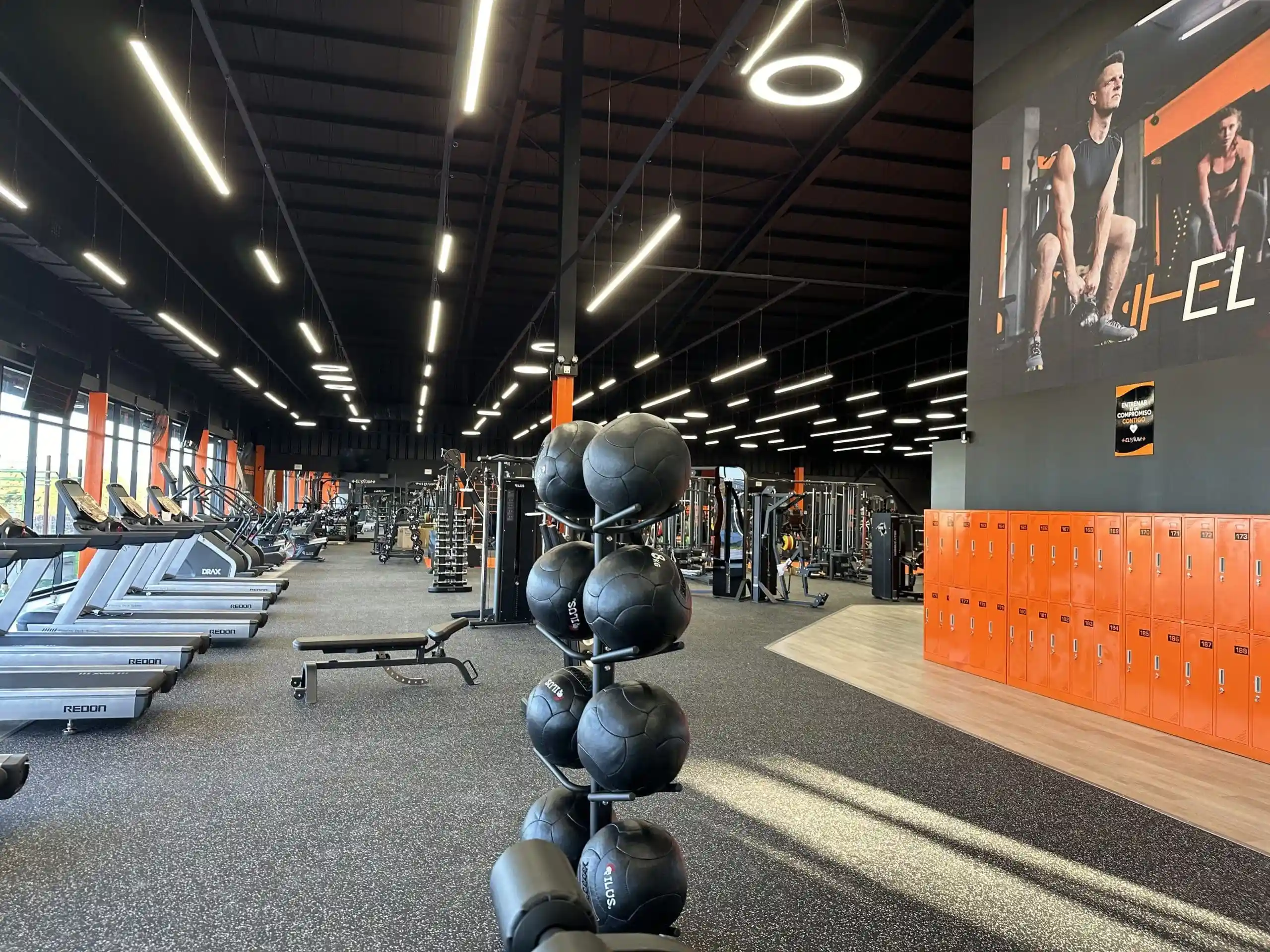 Elysium Arena: El Carmen | Elysium.cl