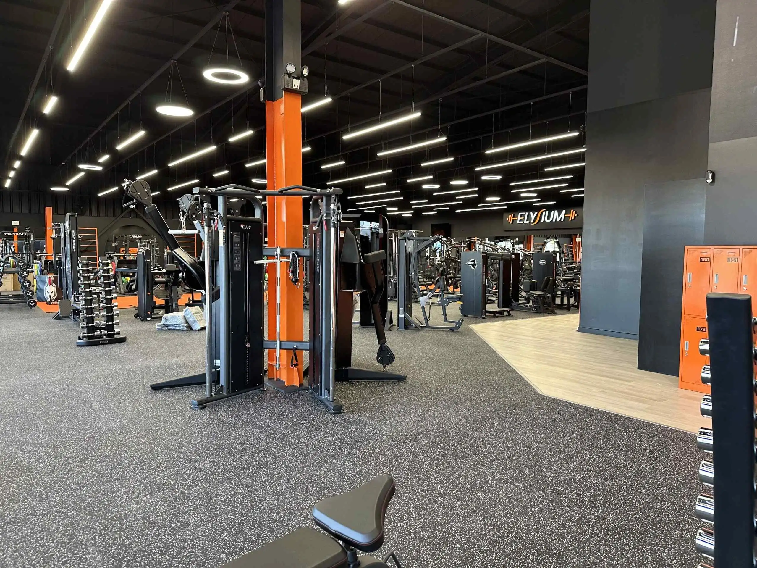 Elysium Arena: El Carmen | Elysium.cl