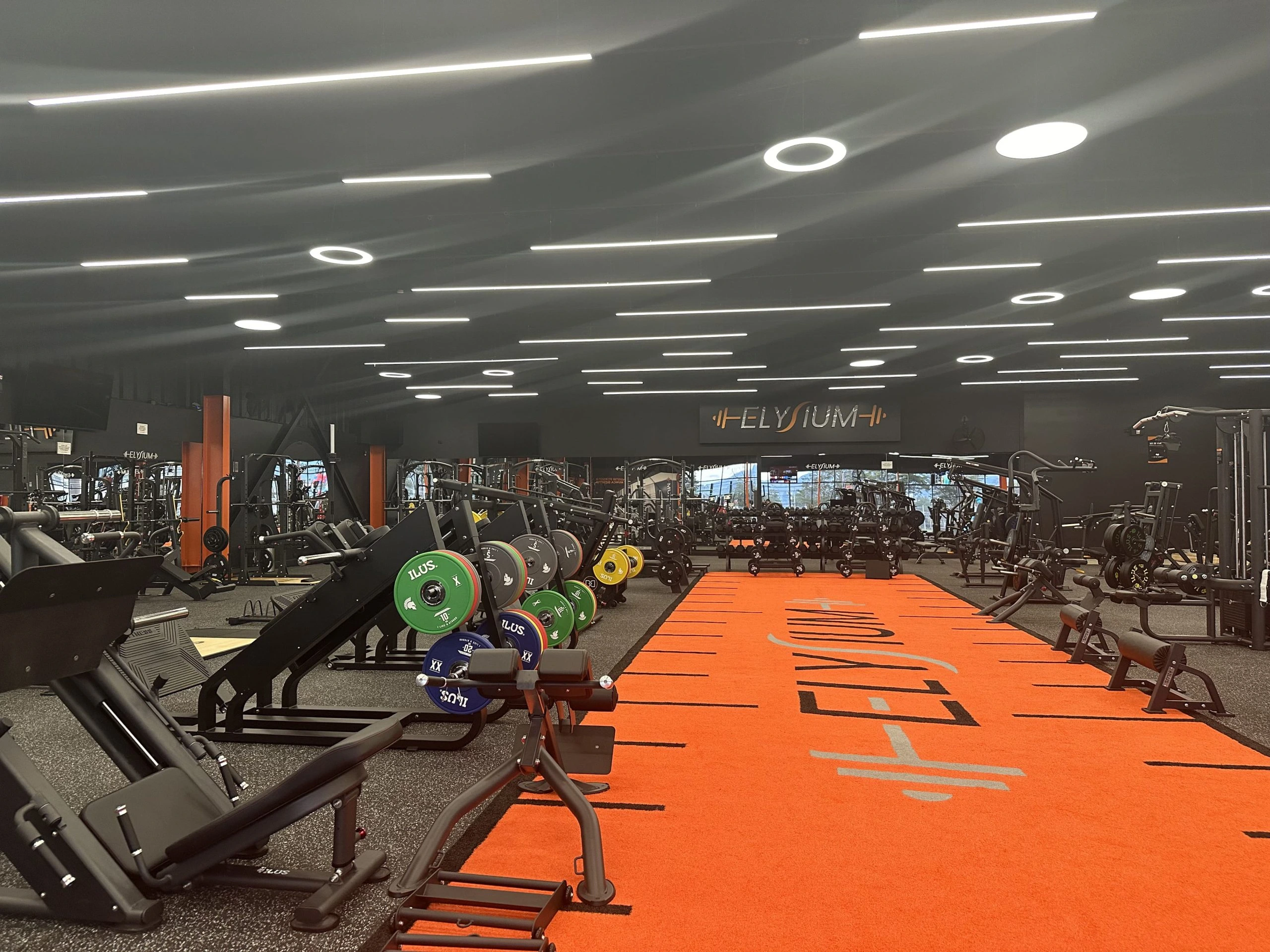 Elysium Arena: El Carmen | Elysium.cl