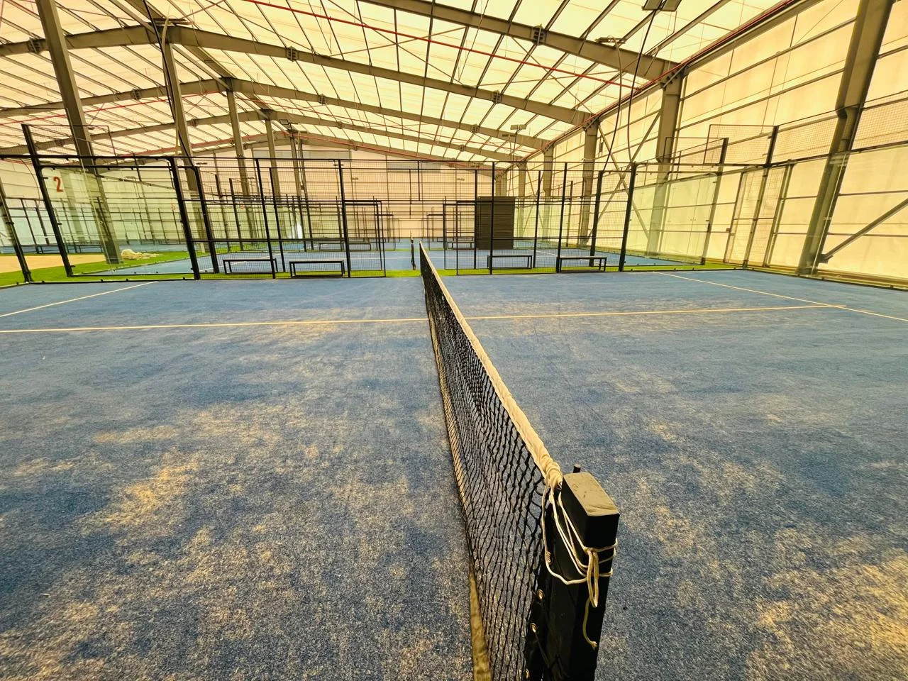 Elysium Arena: El Carmen | Elysium.cl