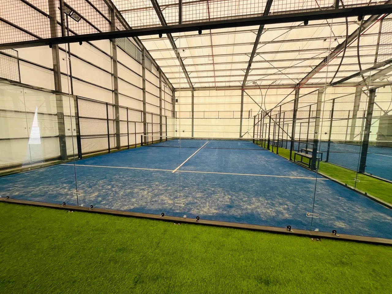 Elysium Arena: El Carmen | Elysium.cl